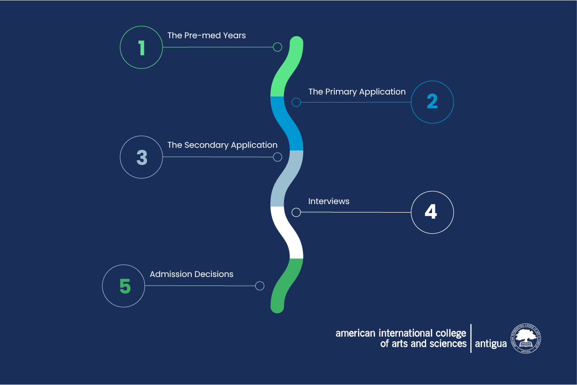 Med School Application Timeline: Plan, Apply, Succeed - AUACAS